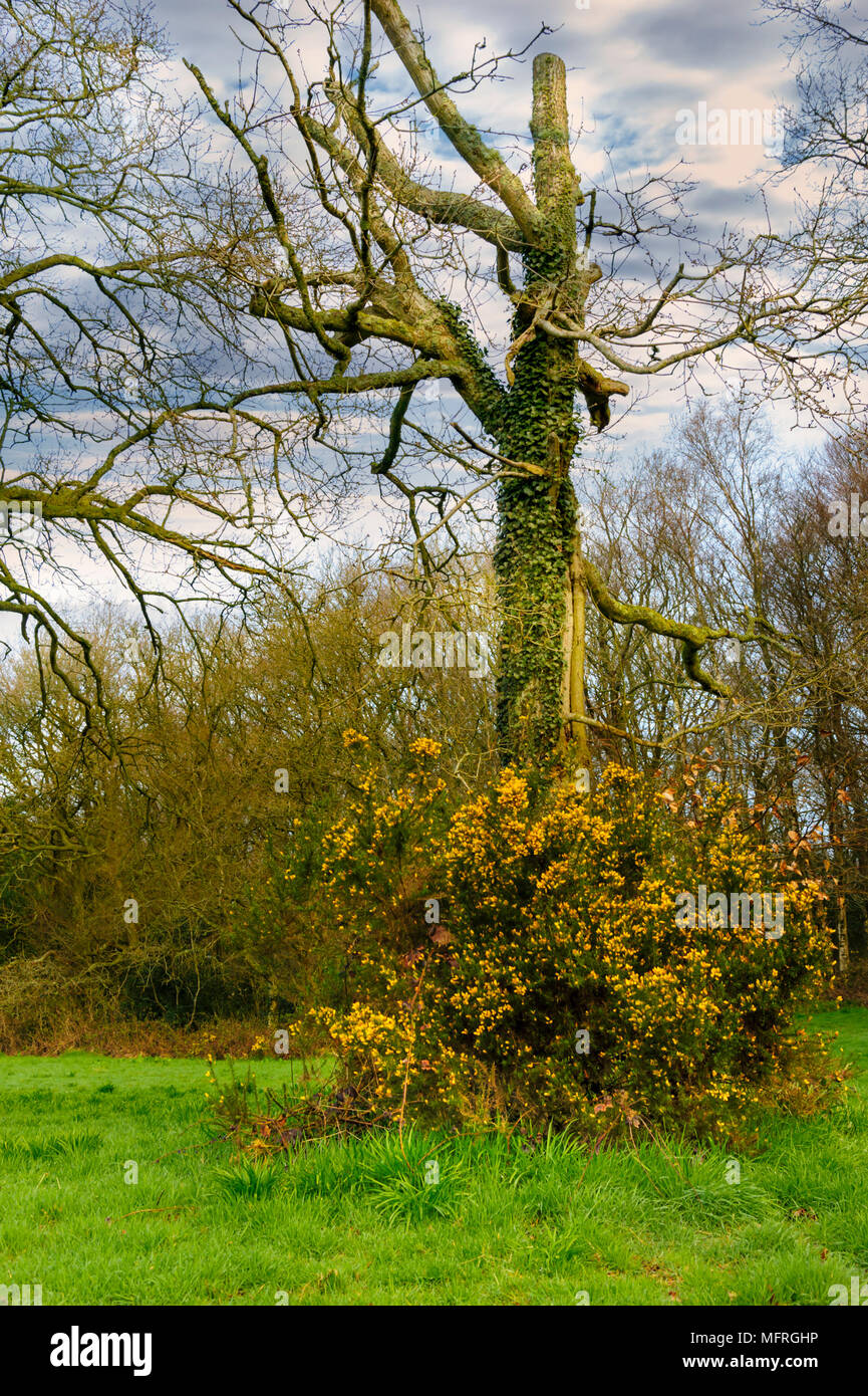 East knoyle wiltshire hi-res stock photography and images - Alamy