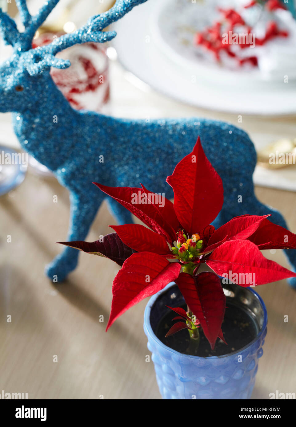 Blue reindeer hi-res stock photography and images - Alamy