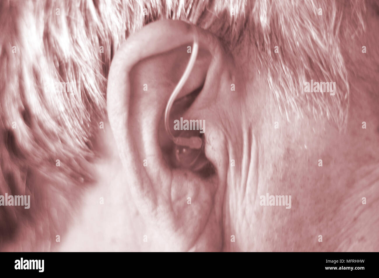 Digital modern hearing aid in the ear of aged old man Stock Photo - Alamy