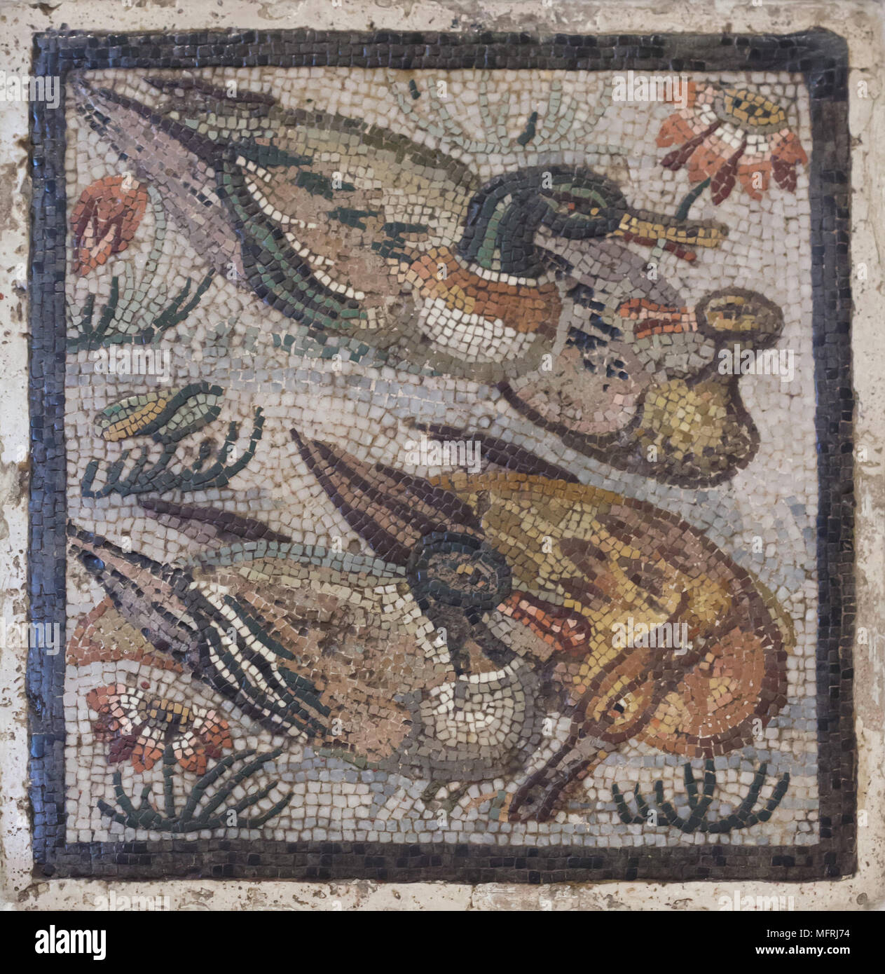 Ducks depicted in the Roman mosaic from the Casa del Cinghiale (House ...