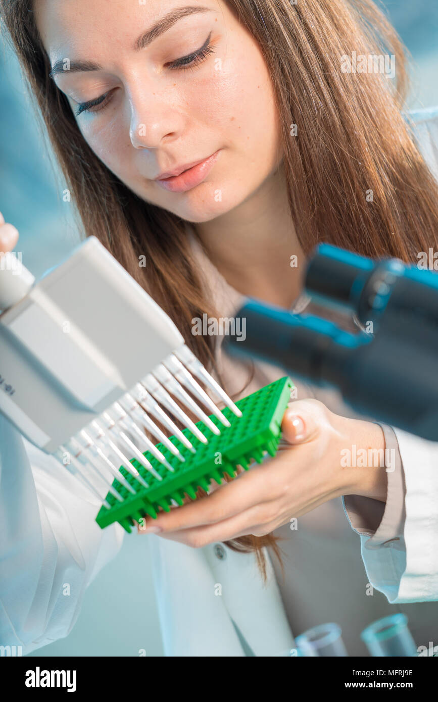 Microbiological laboratory scientist woman with multi channel pipette ...
