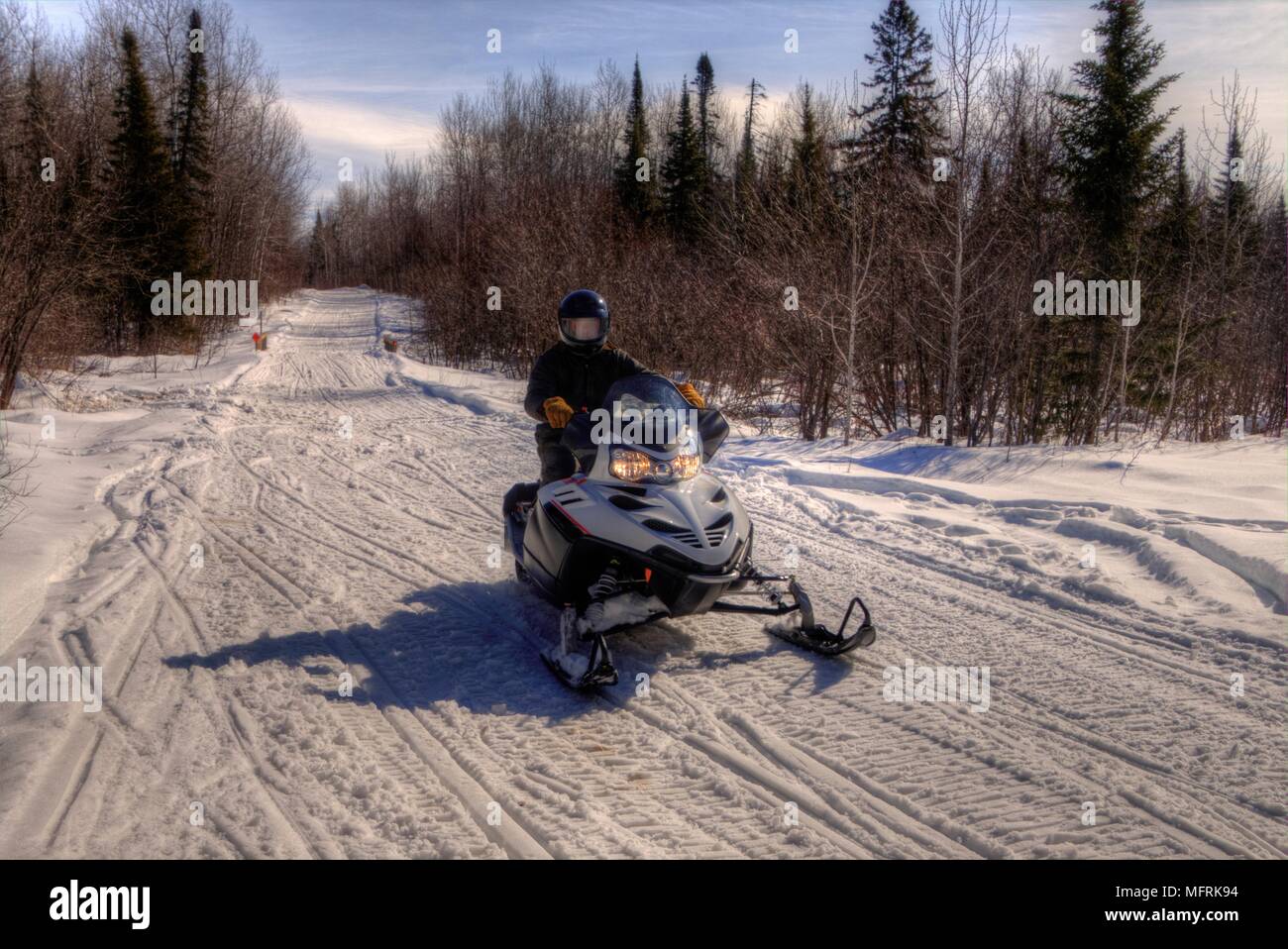 Snowmobiling through the Woods of Northern Minnesota in Winter Stock ...