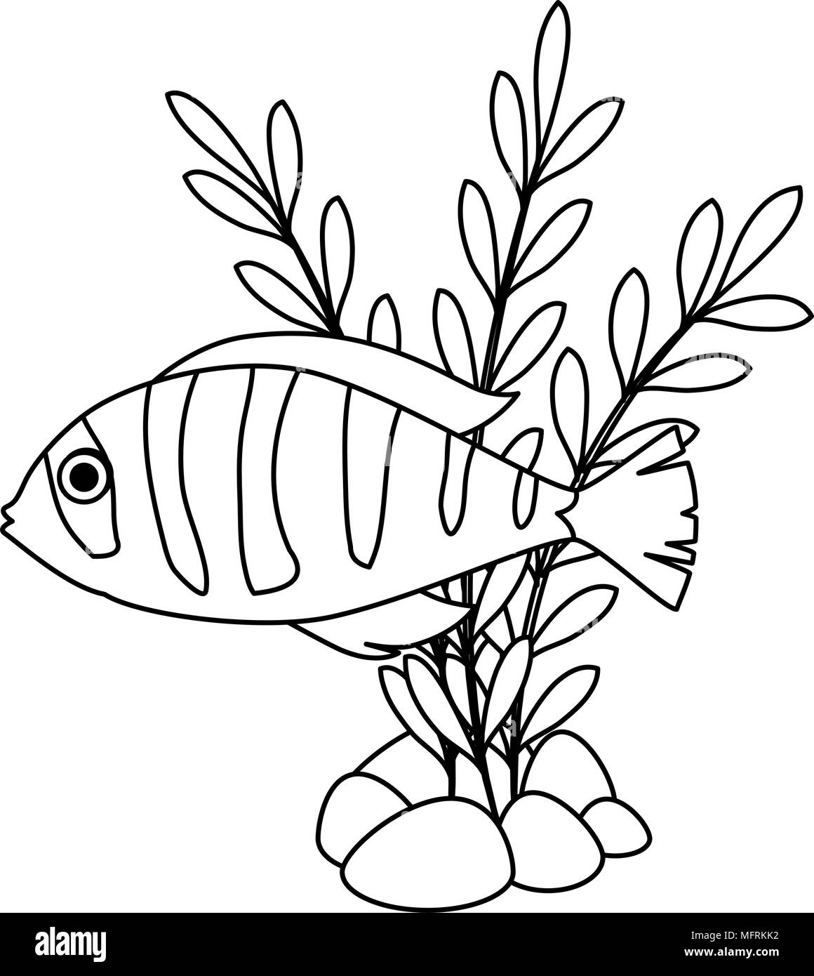 cute ornamental fish with seaweed vector illustration design Stock ...