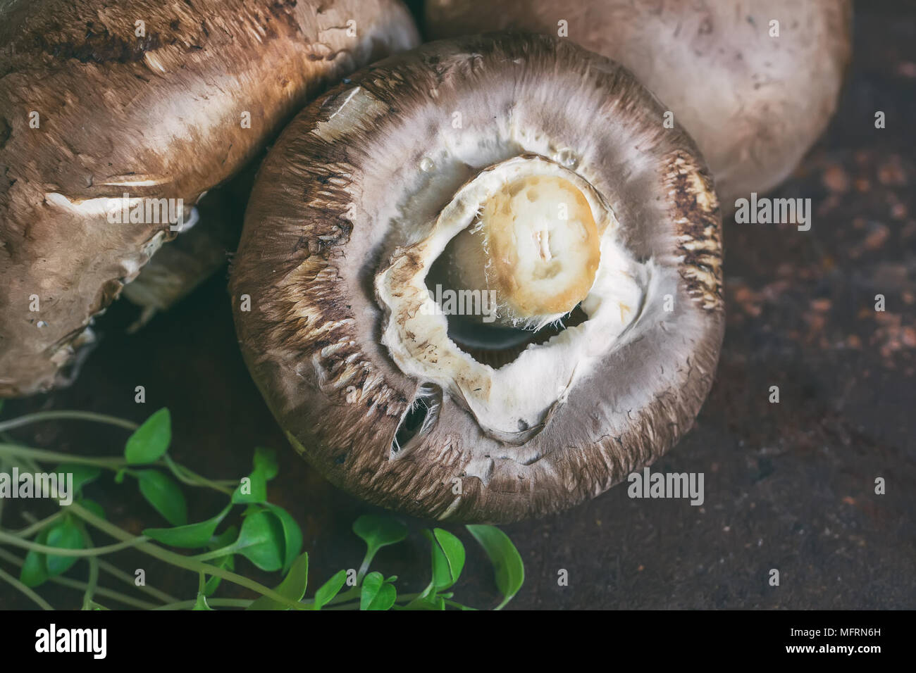 Fresh large Portobello mushrooms Royal close-up Stock Photo - Alamy