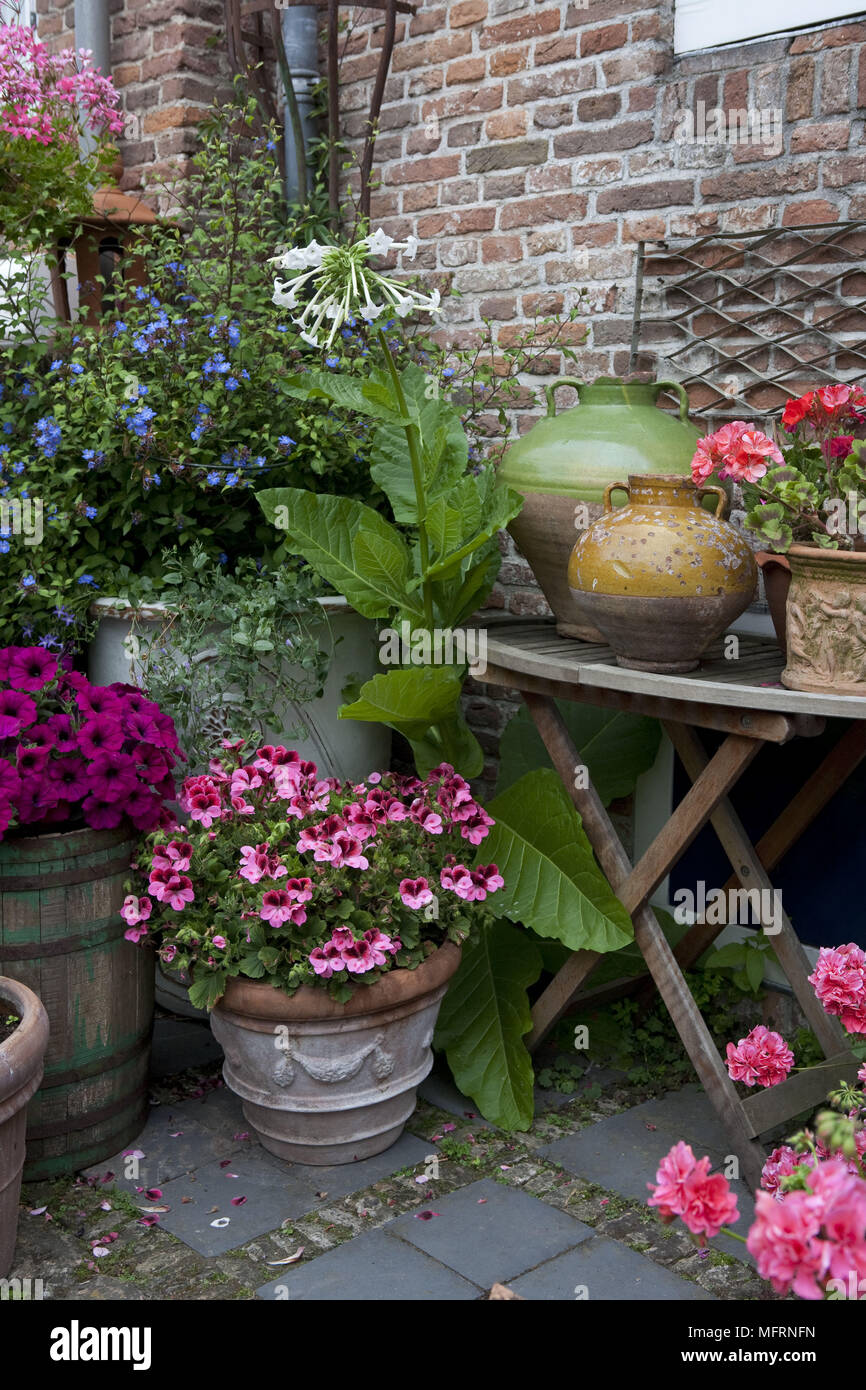 Plants in pots on patio Stock Photo - Alamy