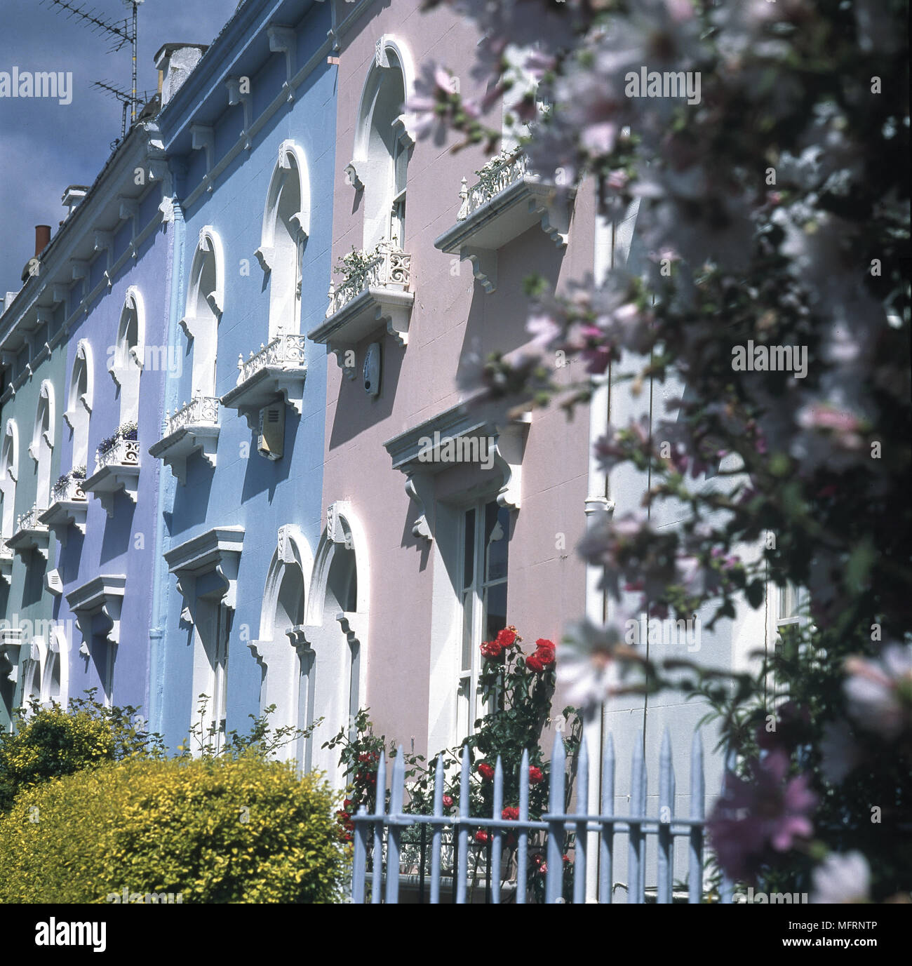 Exterior of painted stone terraced houses with front gardens Stock ...