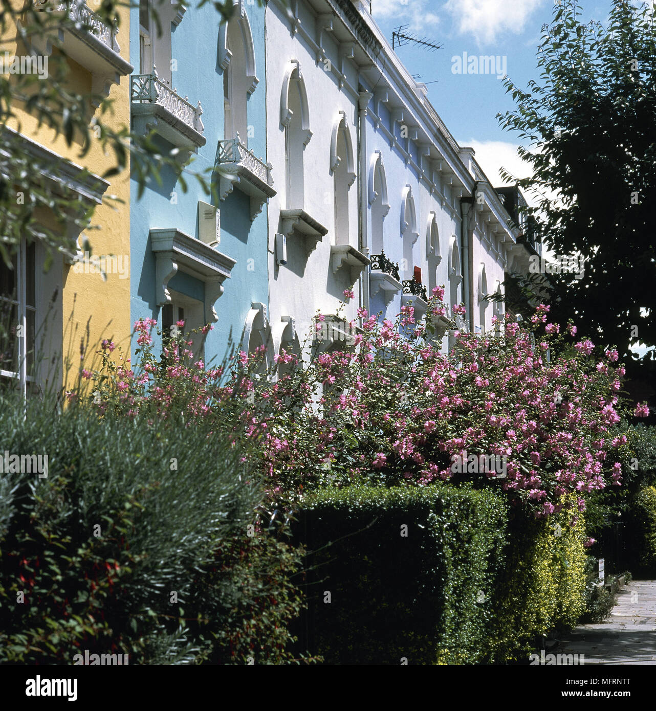 Exterior of painted stone terraced houses with front gardens Stock ...