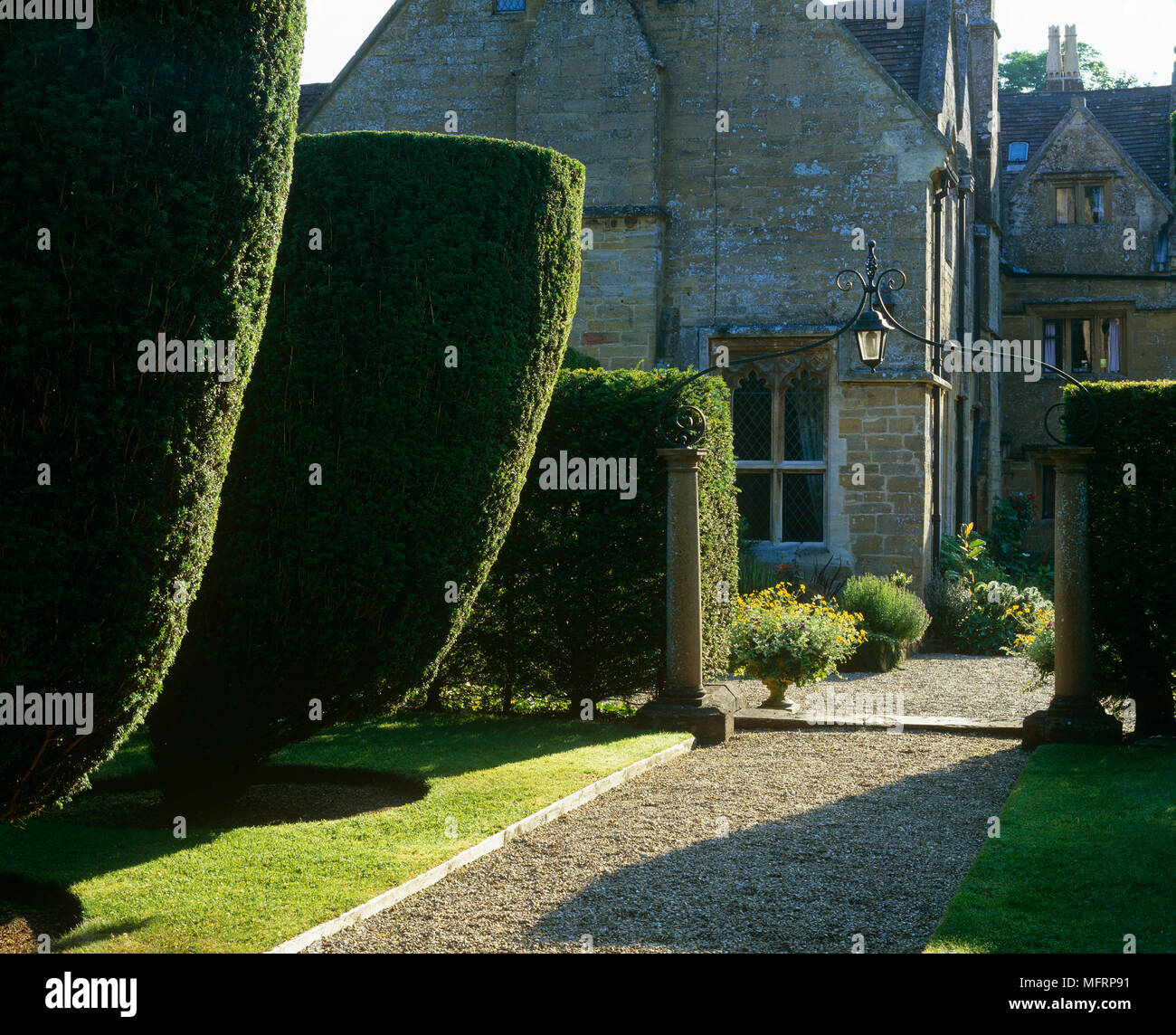 Topiary shrubs in garden of country style house Stock Photo - Alamy