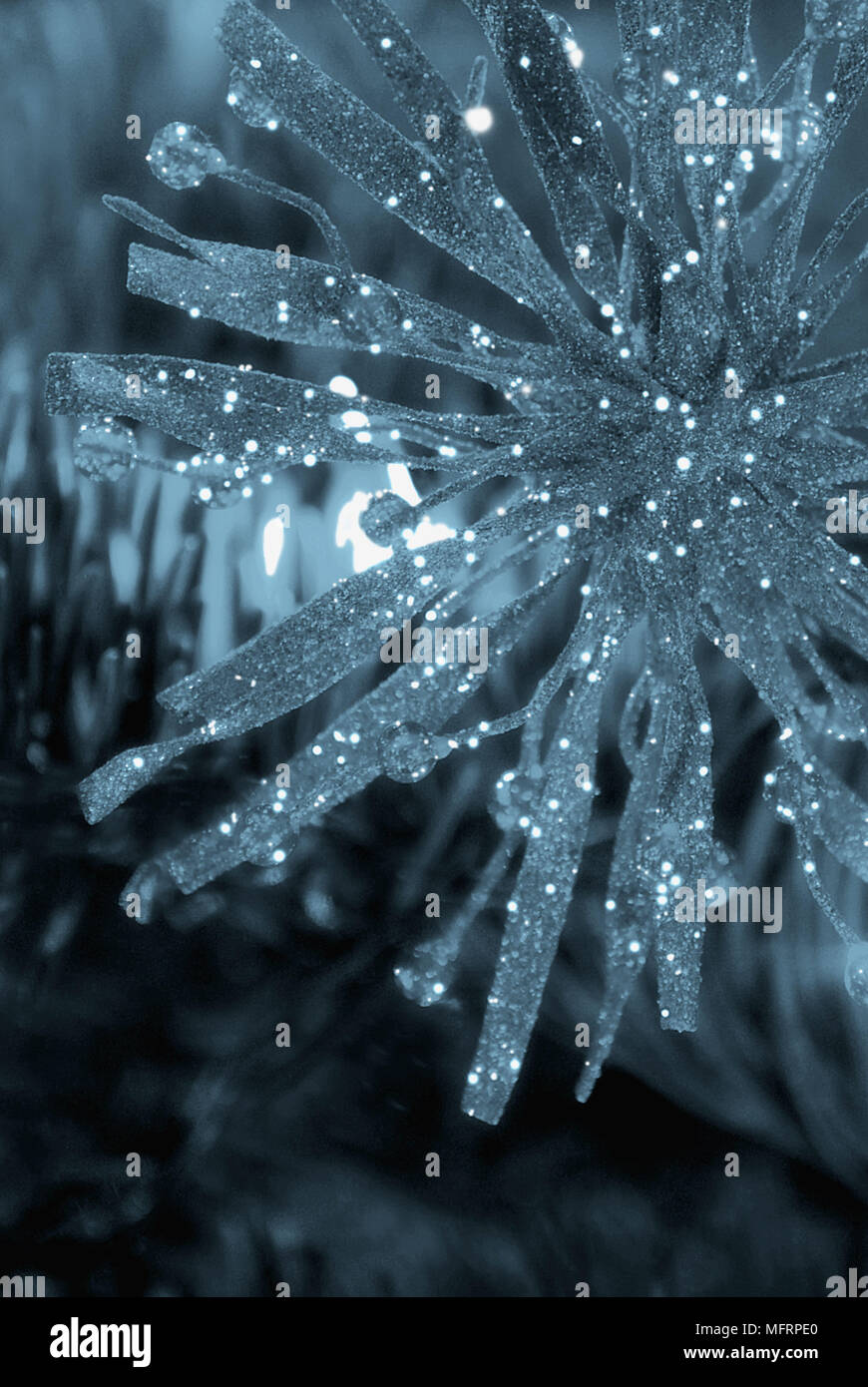 Sparkly backgrounds hi-res stock photography and images - Alamy