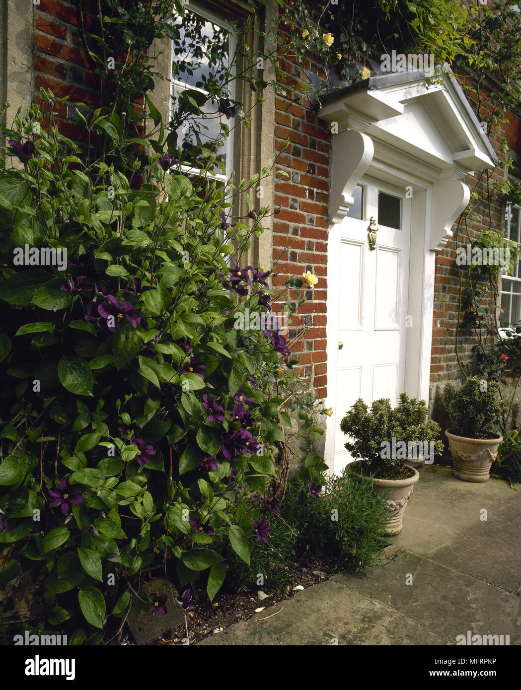 Vine covered porch hi-res stock photography and images - Alamy