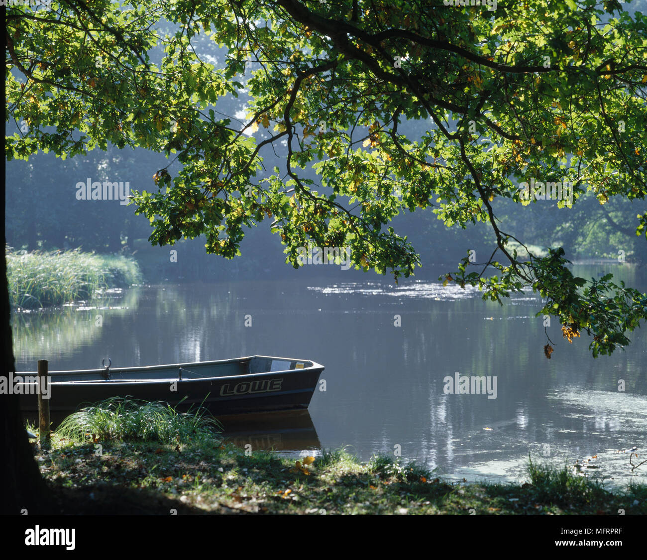 Horizontal view shaded empty hi-res stock photography and images - Alamy