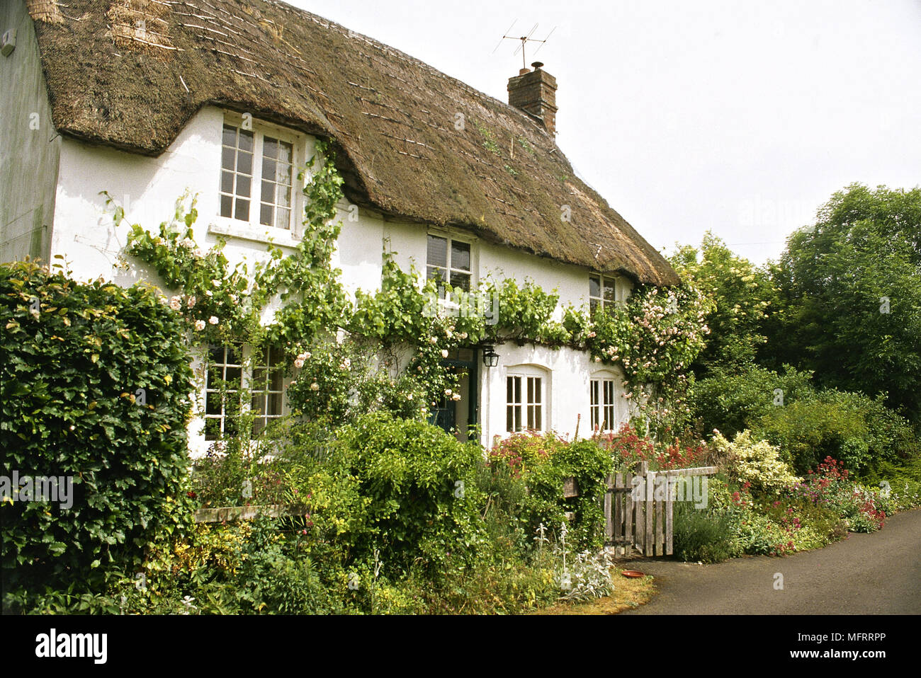 An exterior of a thatched country cottage Stock Photo - Alamy
