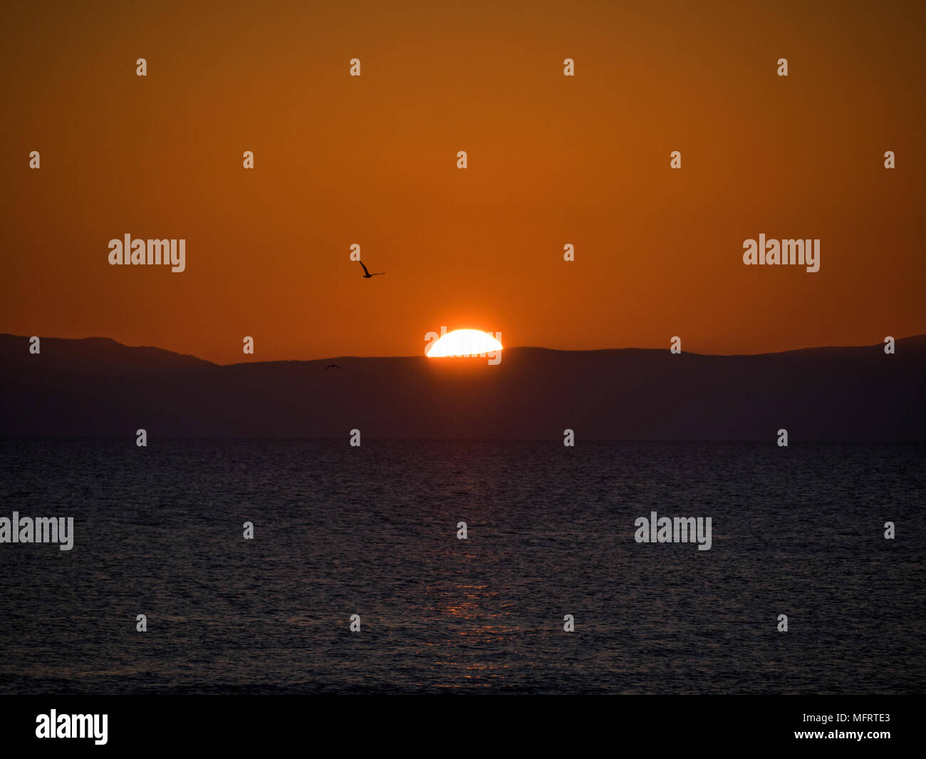 West irvine hi-res stock photography and images - Alamy