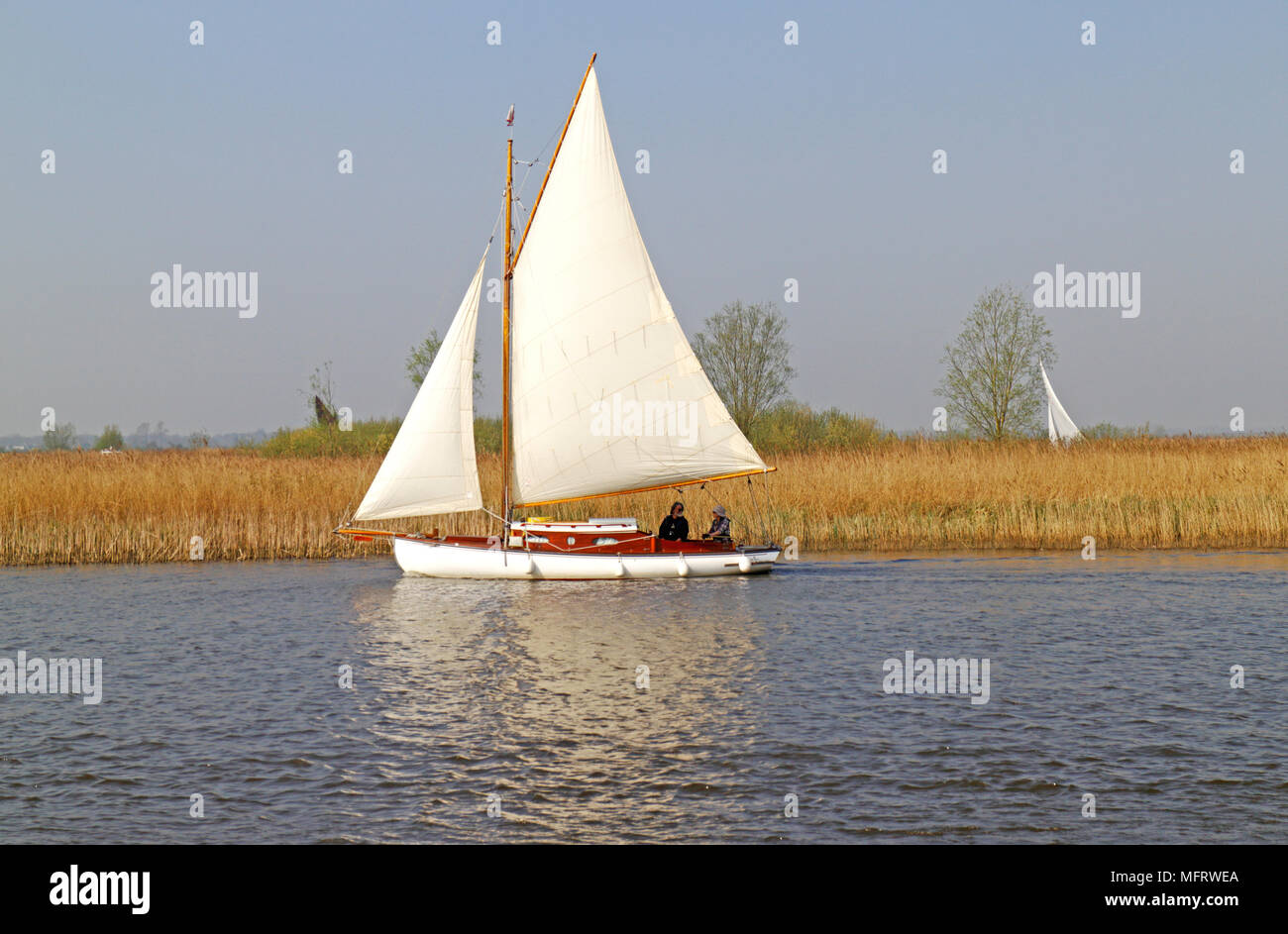 A yacht sailing on the River Bure on the Norfolk Broads at Oby, Norfolk ...