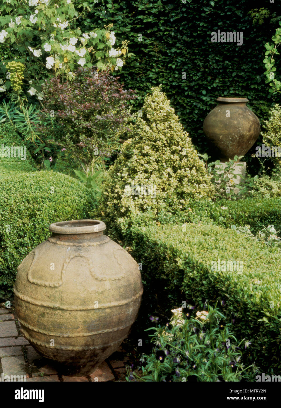 A country garden densely planted with shrubs and trees with clipped ...