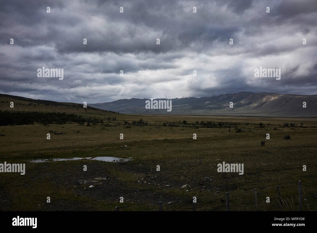 Grasslands and mountains on an overcast day in Patagonia, Chile. Wide ...