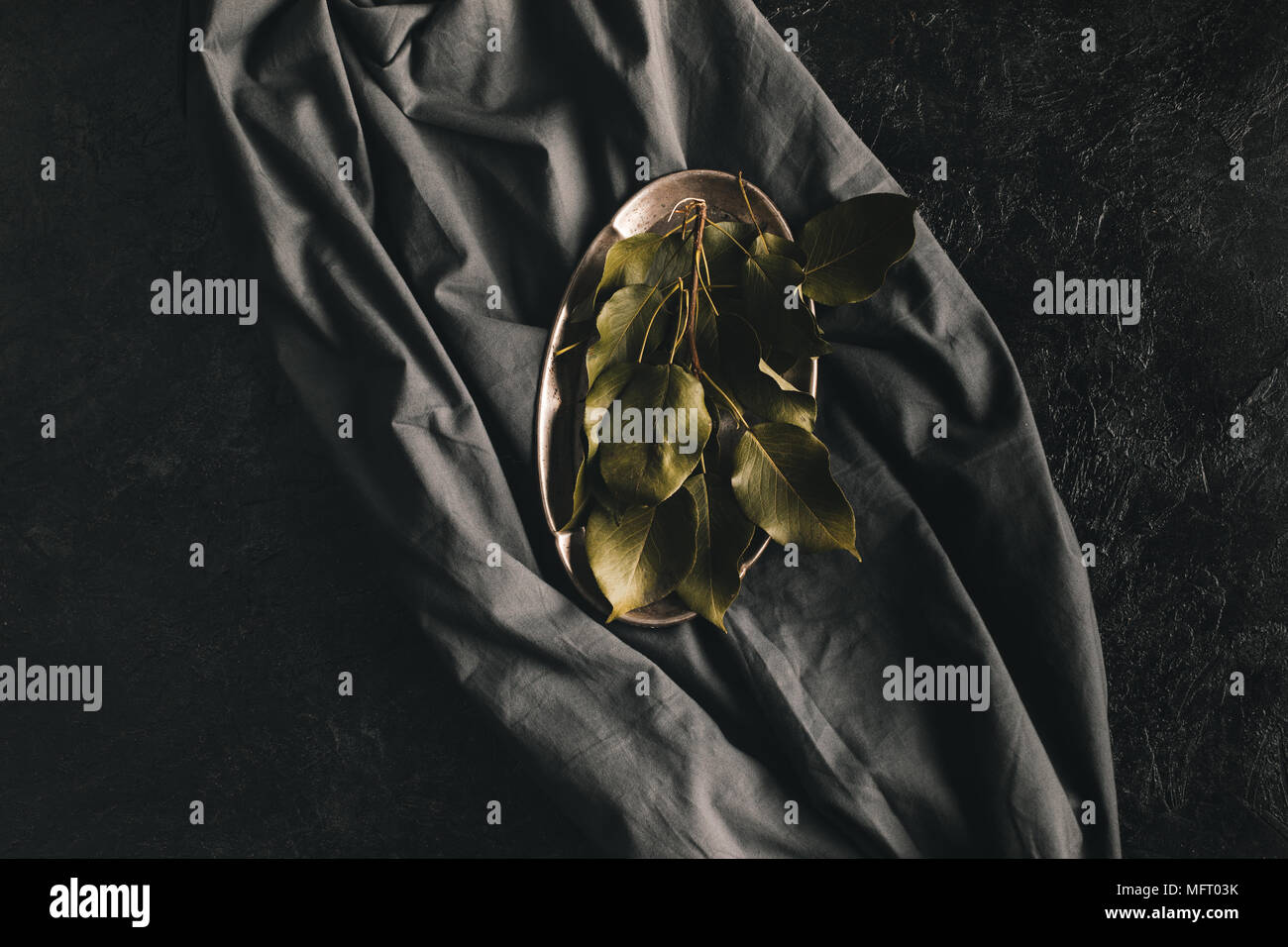 apple tree leaves Stock Photo - Alamy