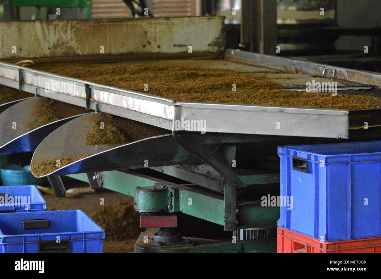 Inside Tea Factory Stock Photo - Alamy