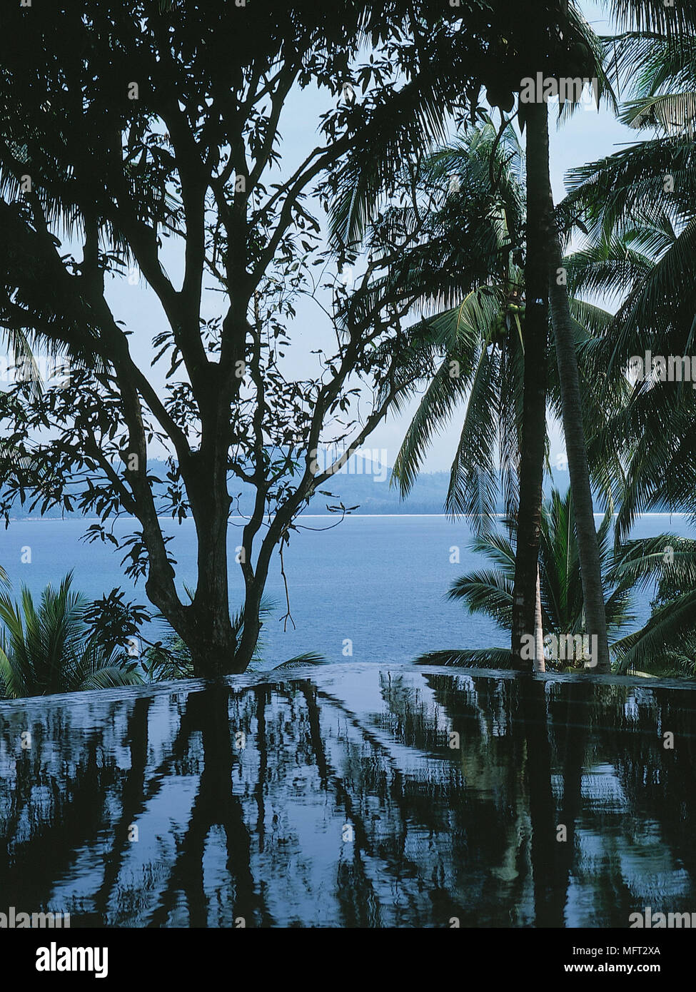 Terrace and palm trees hi-res stock photography and images - Alamy