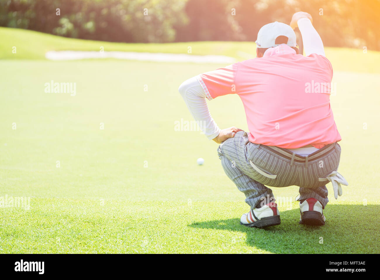 golf player crouching and study the green before putting shot,Young ...