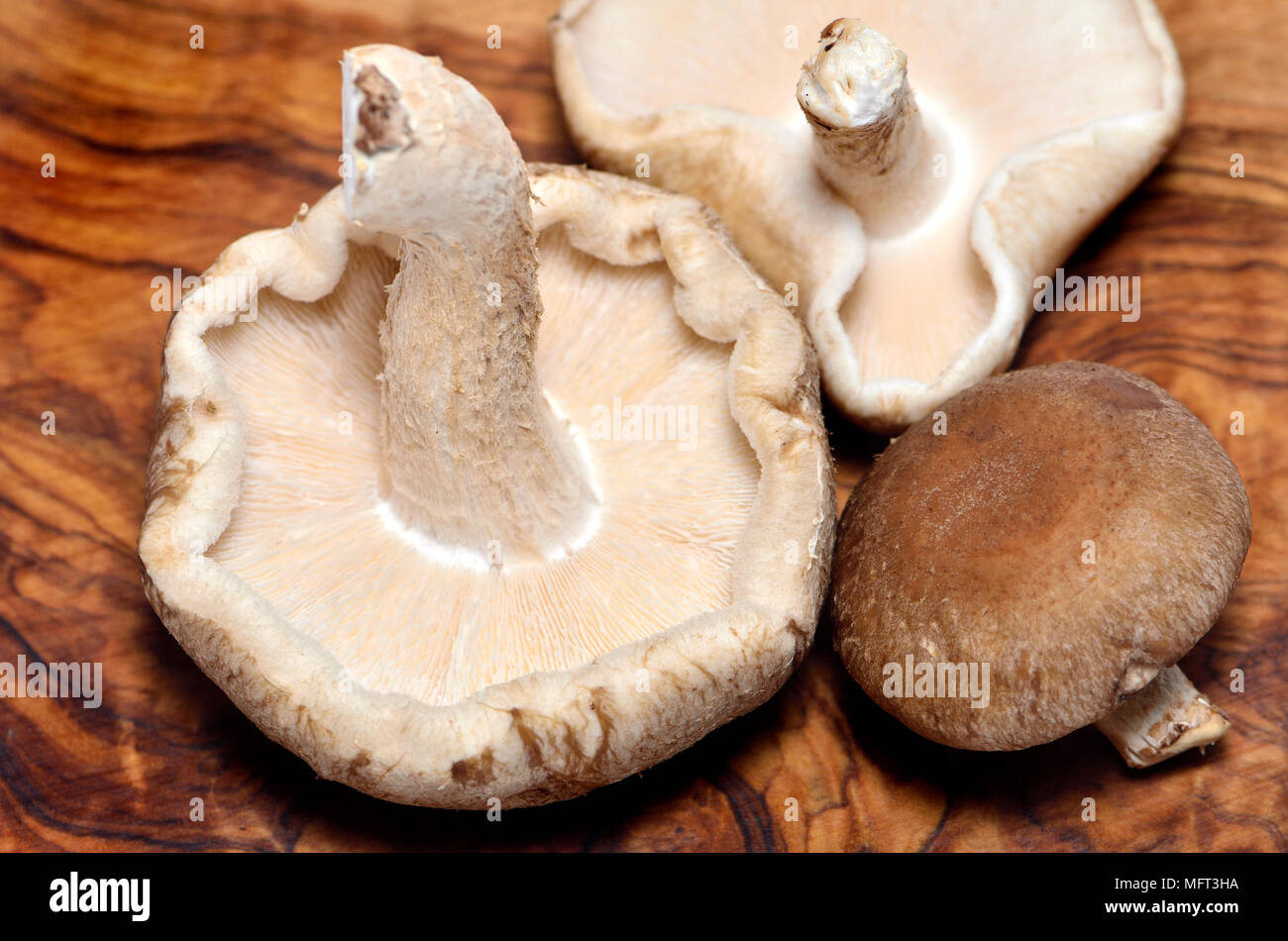 Fresh shiitake mushrooms hi-res stock photography and images - Alamy