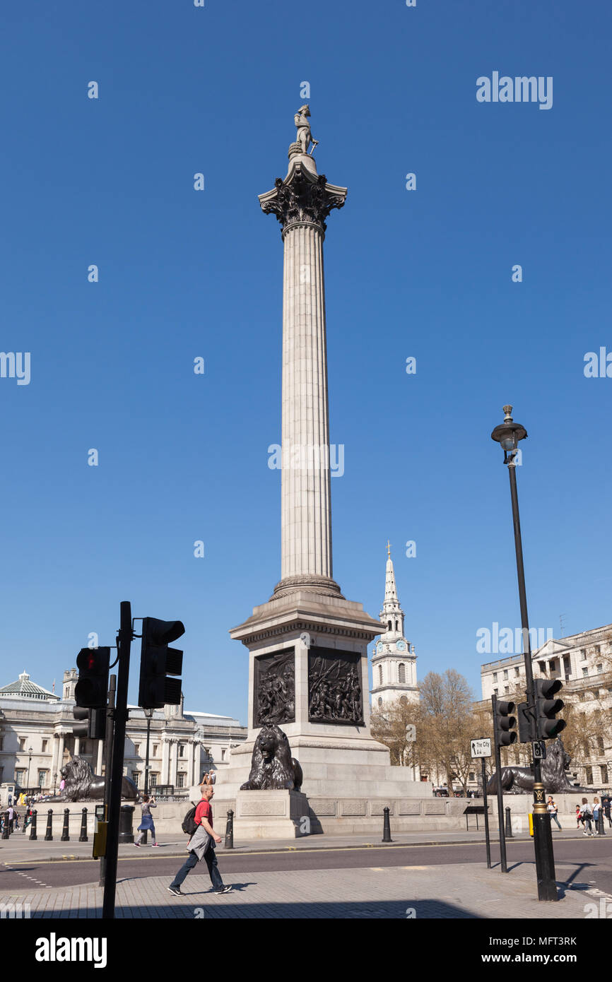 Nelson's Column, Trafalgar Square, London, UK Stock Photo - Alamy