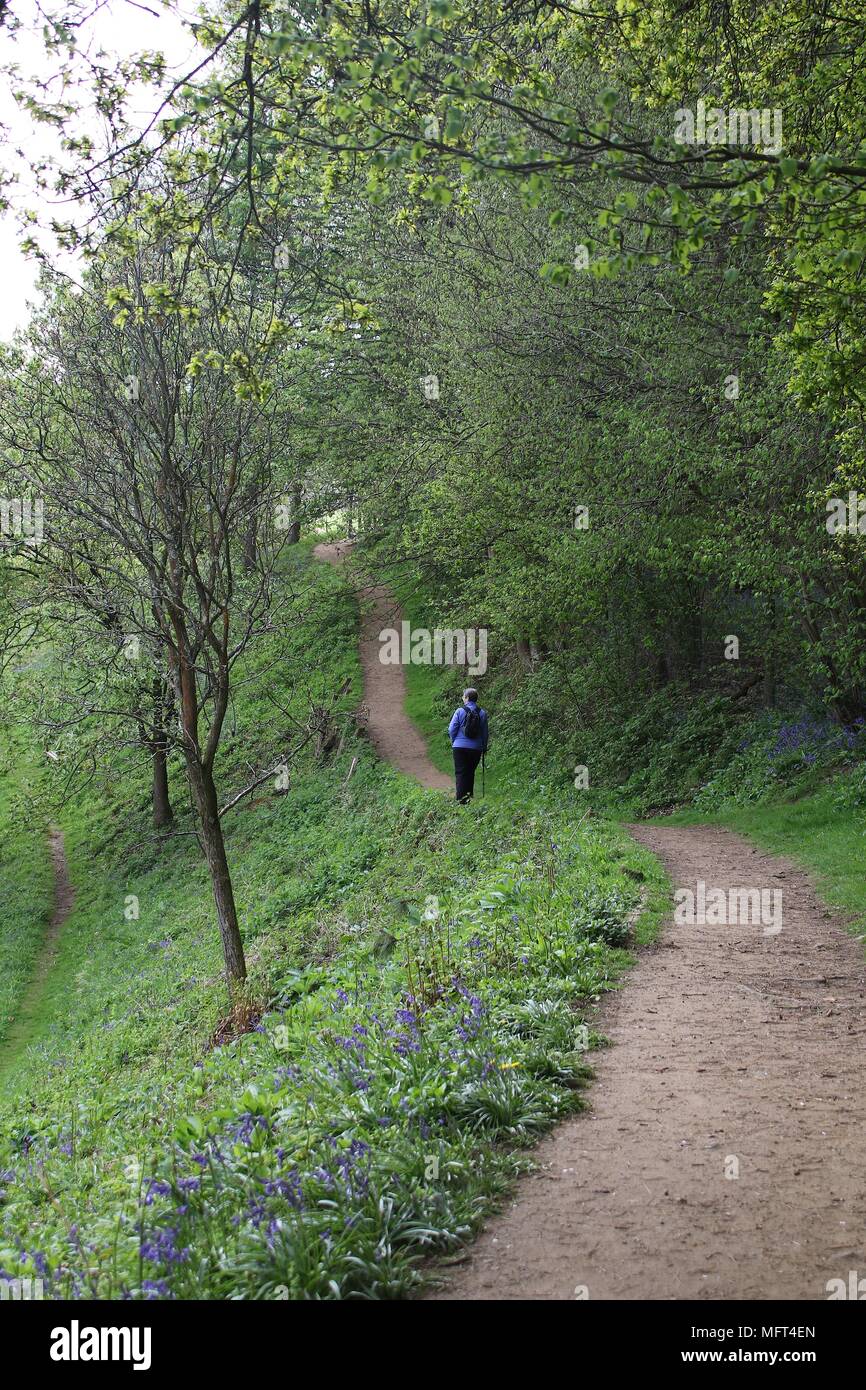 Rear view of female hiker walker hi-res stock photography and images ...