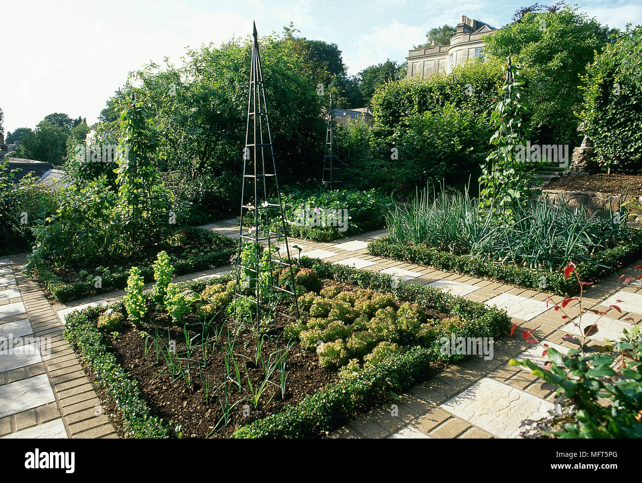 A vegetable garden with box hedged vegetable plots, paving Stock Photo ...