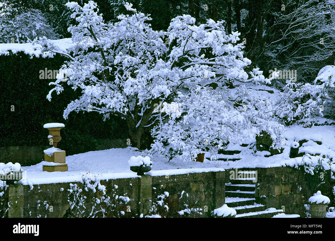 Crowe hall hi-res stock photography and images - Alamy