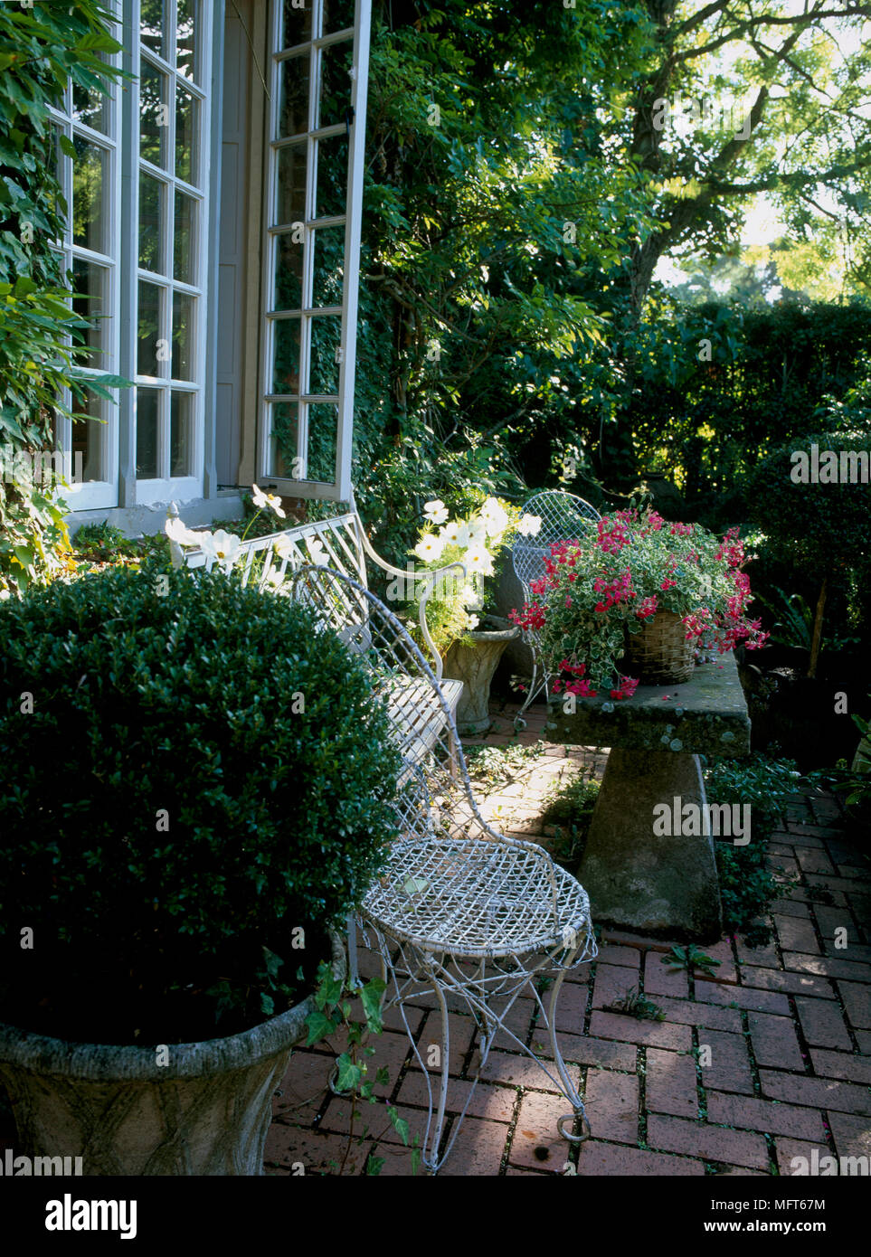 A detail of a country garden with a paved patio area, clipped topiary ...
