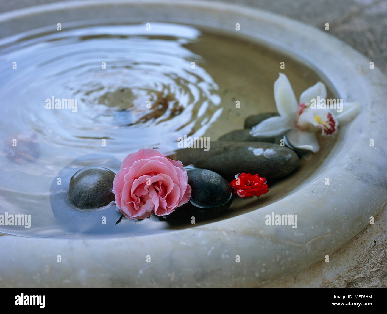 Pink flowers floating in water fountain Stock Photo - Alamy