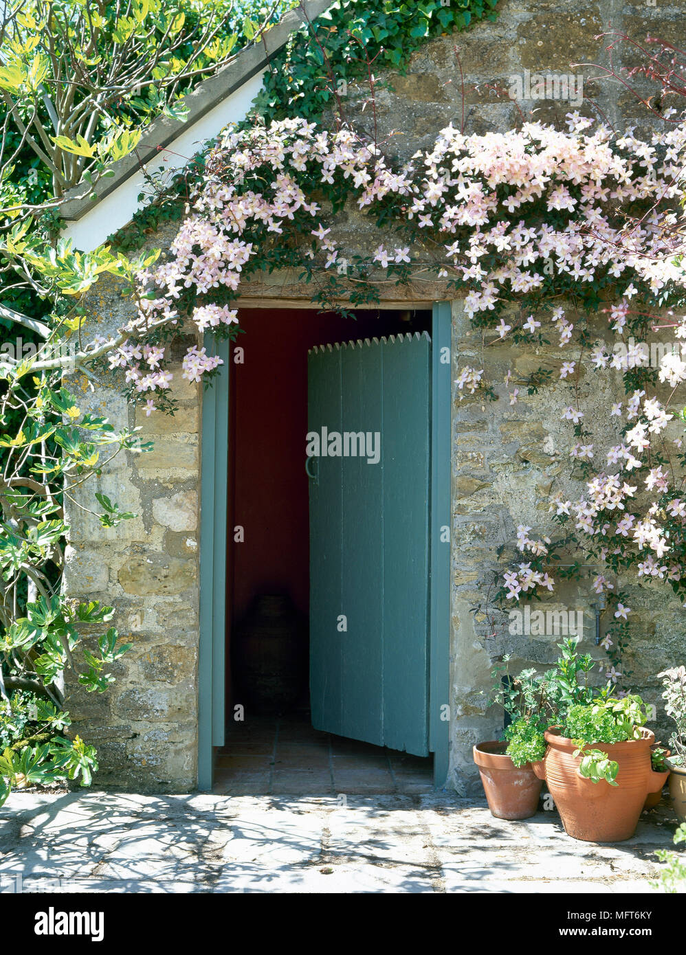 Ms0000080000 hi-res stock photography and images - Alamy