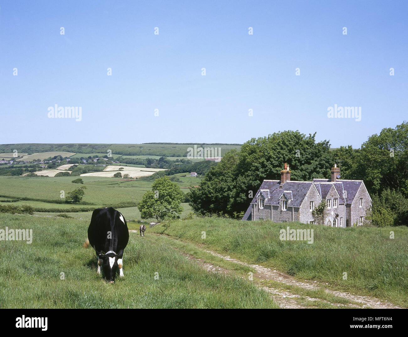 Exterior country house set in rural countryside exteriors houses Stock ...