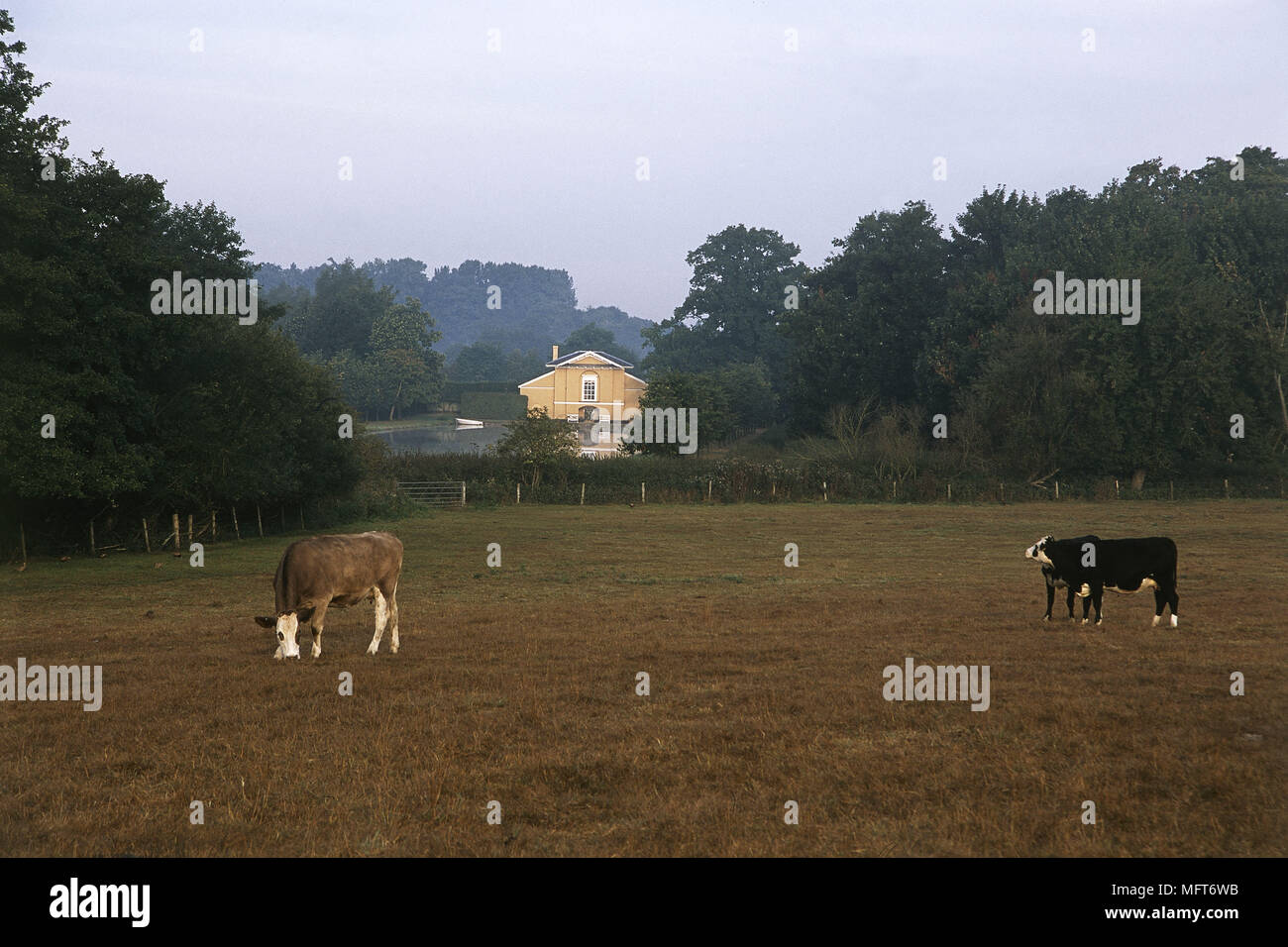 Grand country house hi-res stock photography and images - Alamy