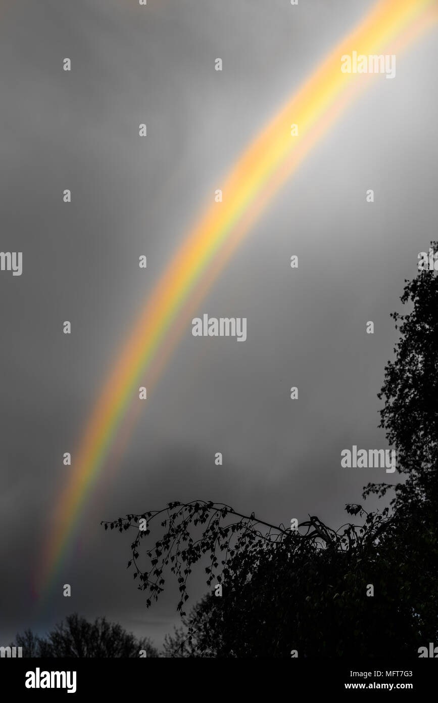 Monochrome Rainbow