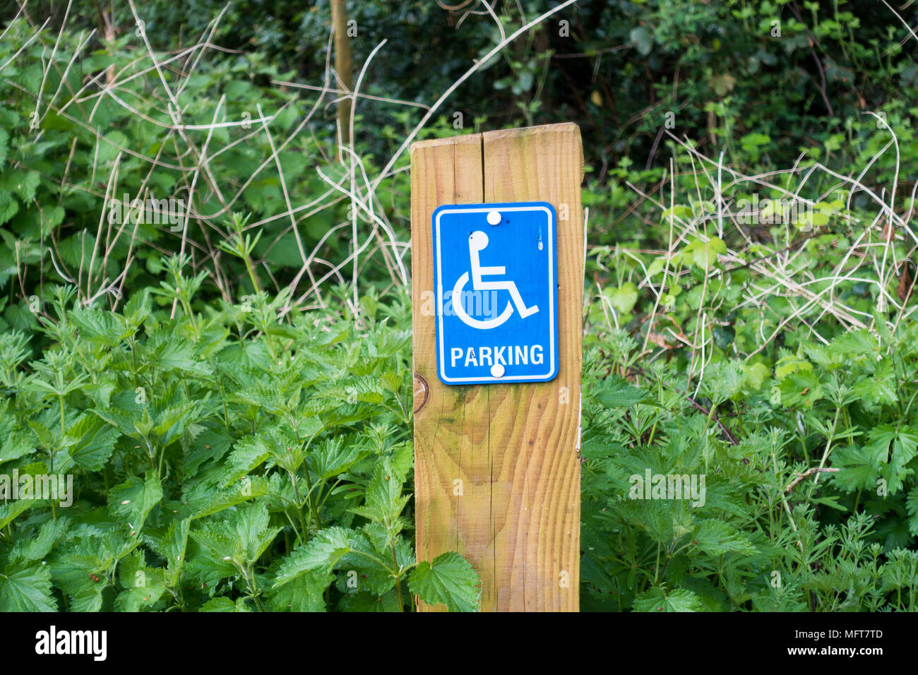 A disabled parking space sign, England, United Kingdom Stock Photo - Alamy