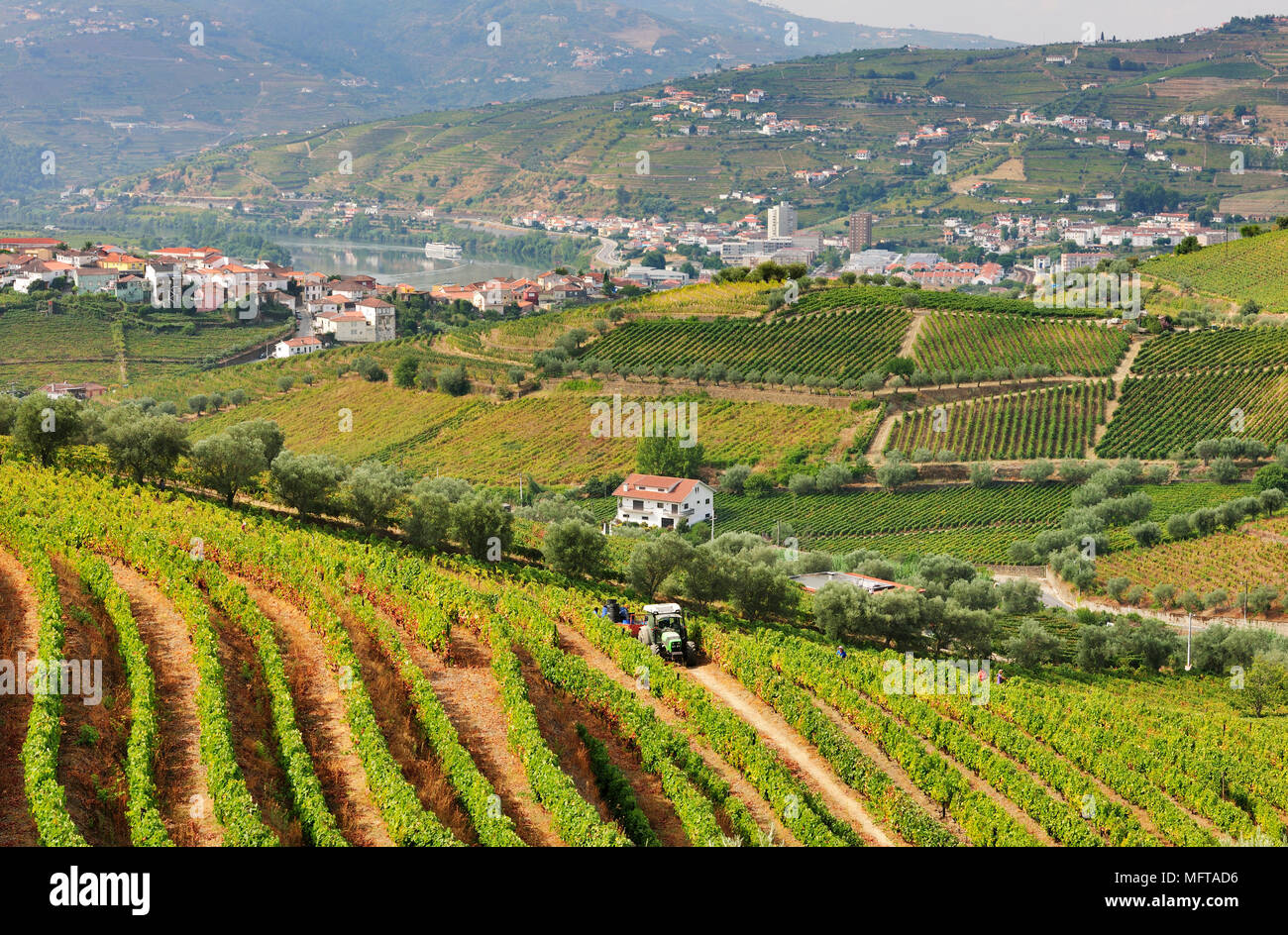 Terraced landscapes hi-res stock photography and images - Alamy