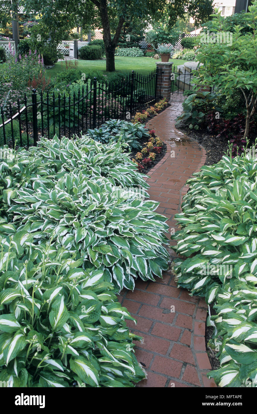 Garden path hostas hi-res stock photography and images - Alamy