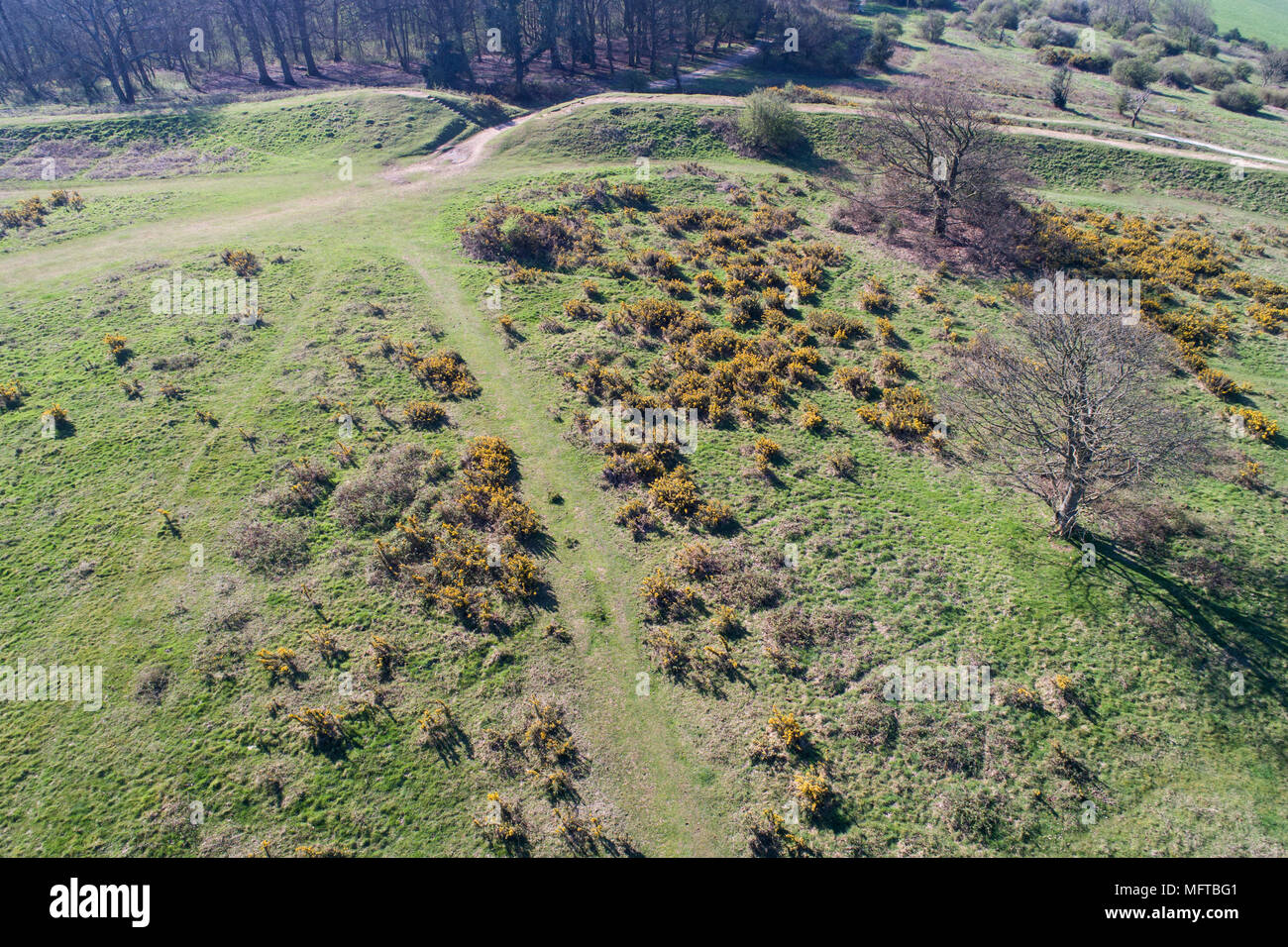 the ancient cissbury ring near findon on the south downs in west sussex ...