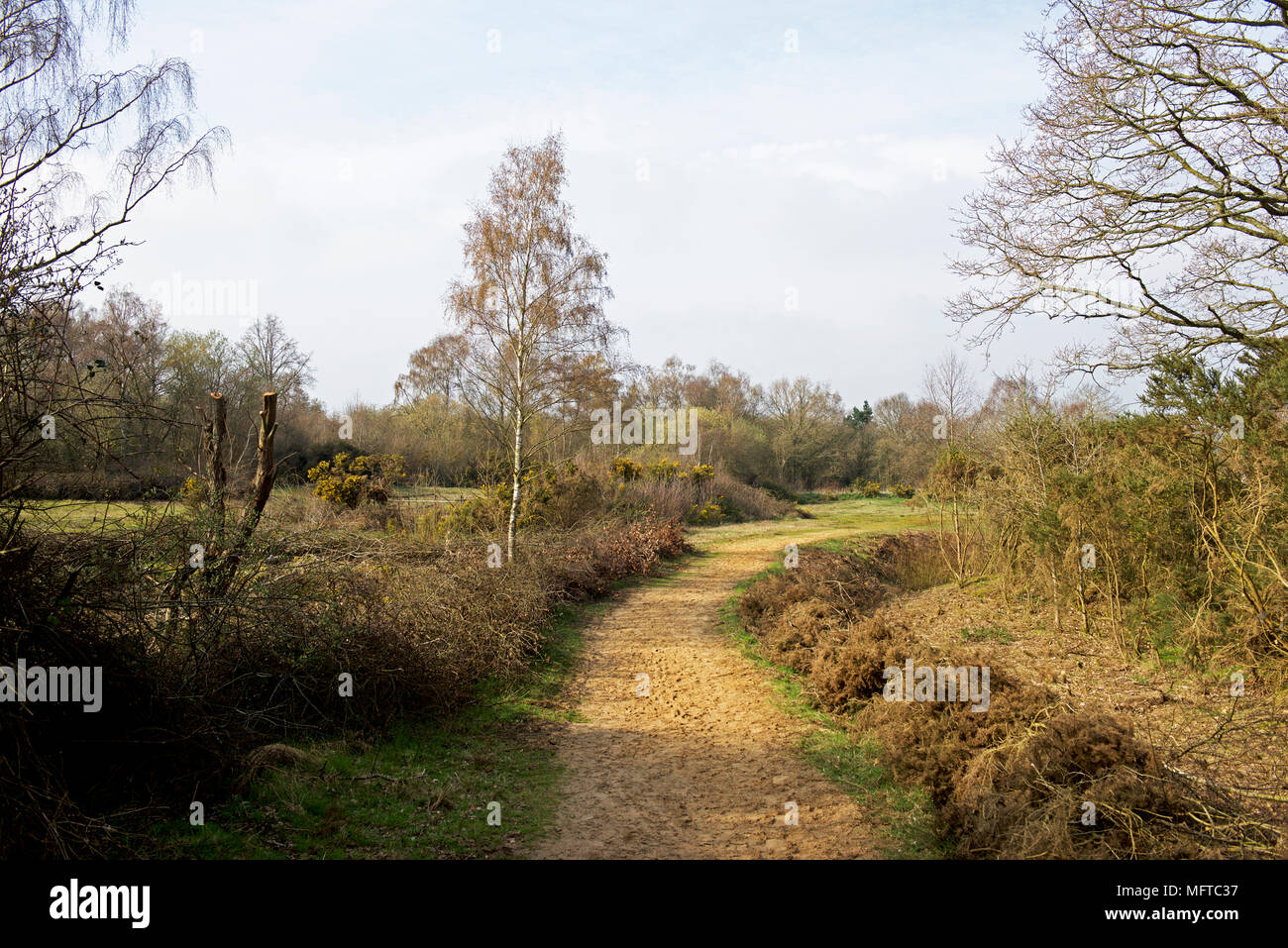 Track through Fingringhoe Wick, an Essex Wildlife Trust nature reserve ...