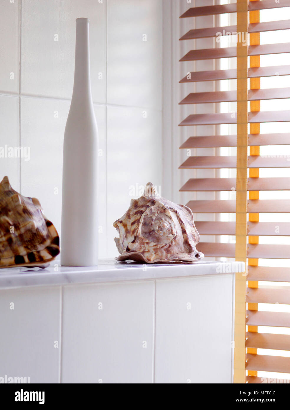 Sea shells and vase on shelf Stock Photo - Alamy