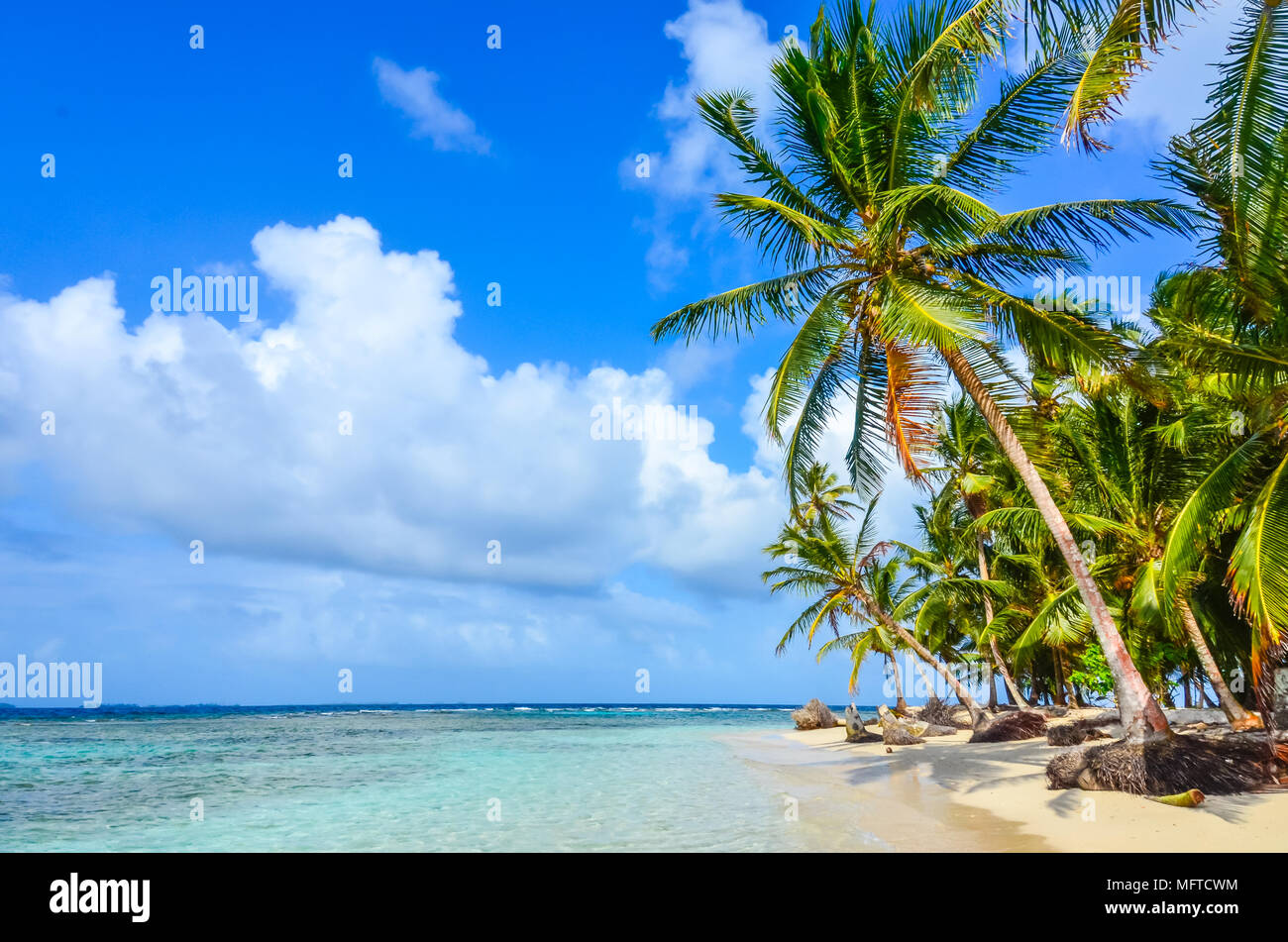 Beautiful lonely beach in caribbean San Blas island, Kuna Yala, Panama ...