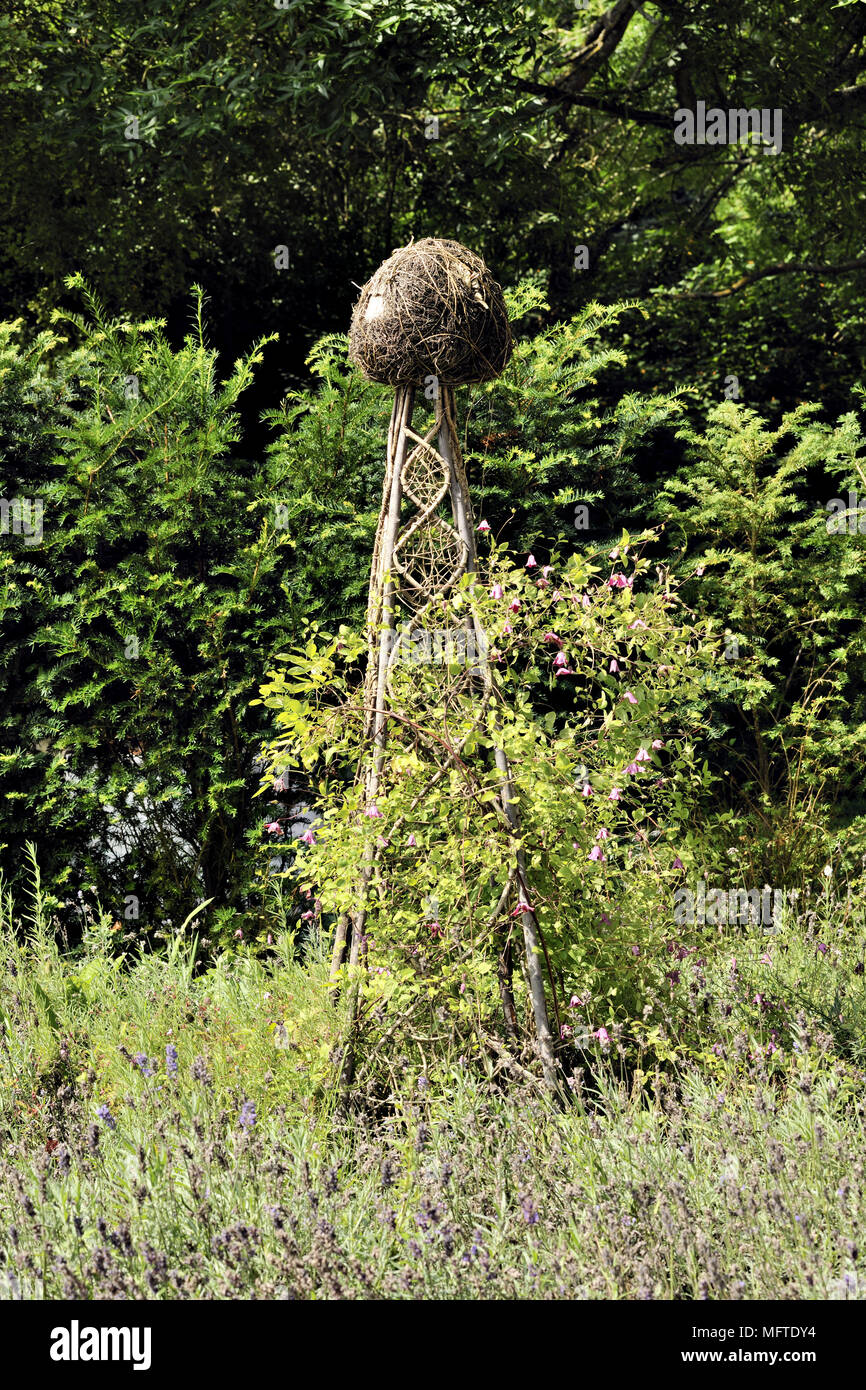 Pruned trees hi-res stock photography and images - Alamy
