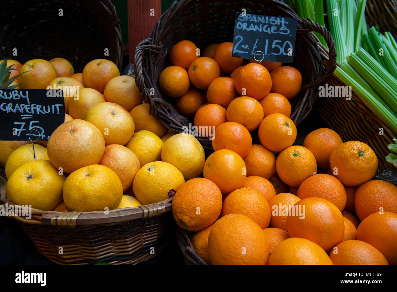 Citrus orange trees uk hi-res stock photography and images - Alamy