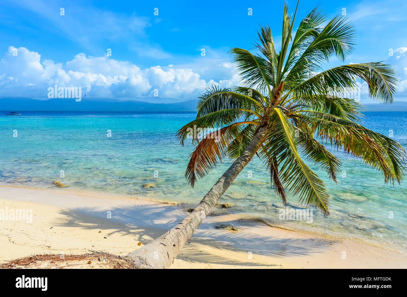 Beautiful lonely beach in caribbean San Blas island, Kuna Yala, Panama ...