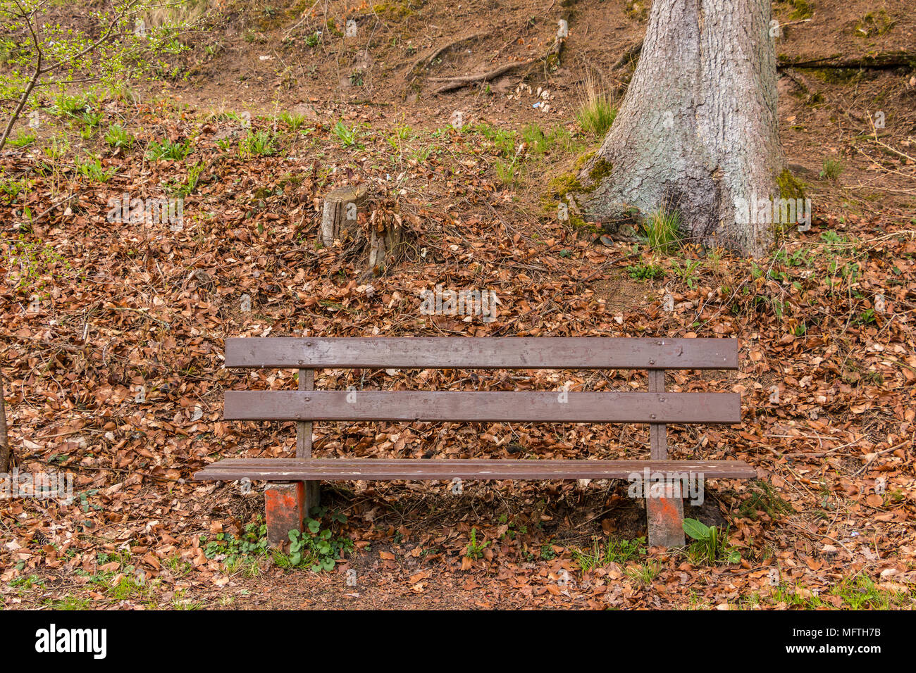 Rest revival hi-res stock photography and images - Alamy