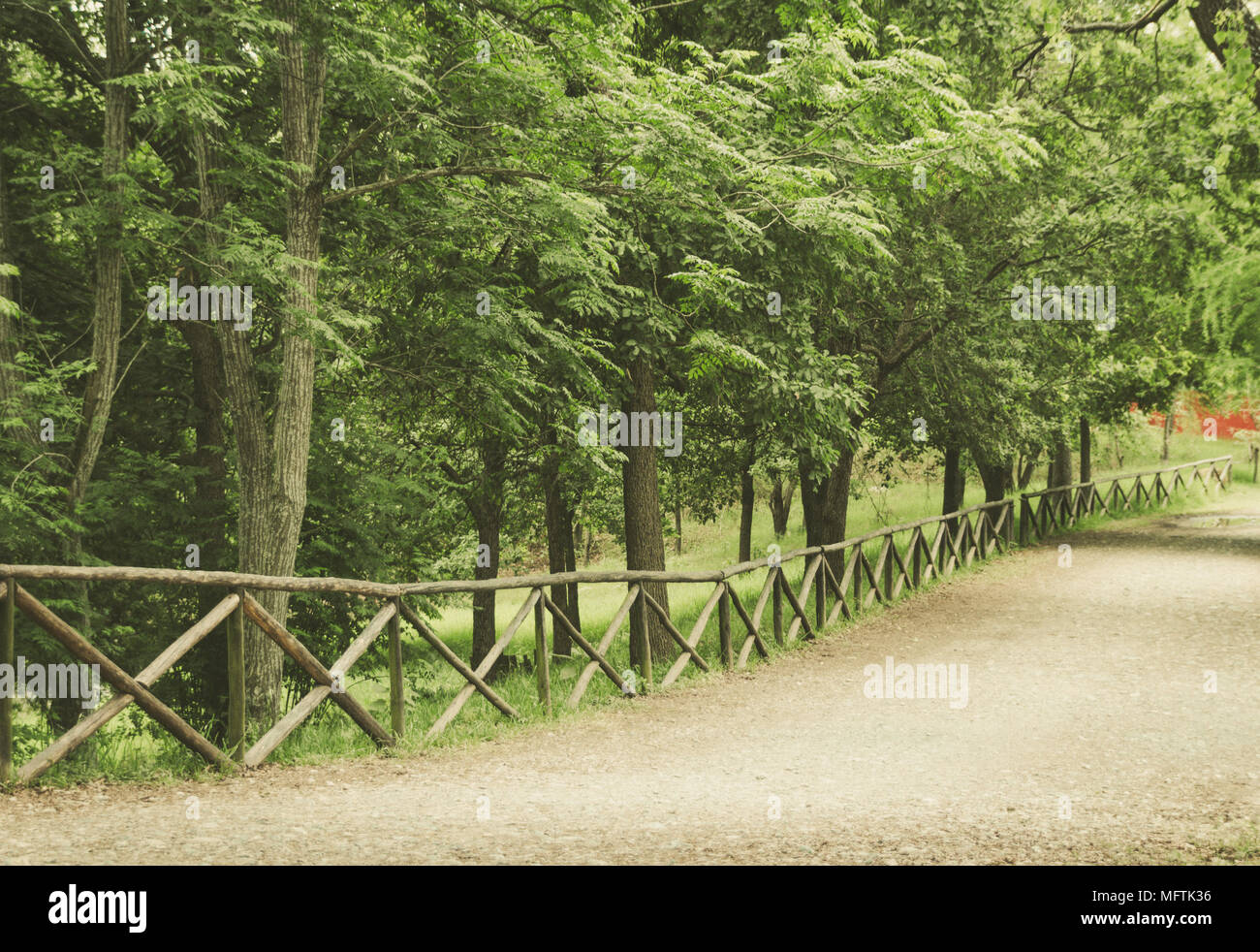 photograph of a path in a wooded area with a railing that divides the ...