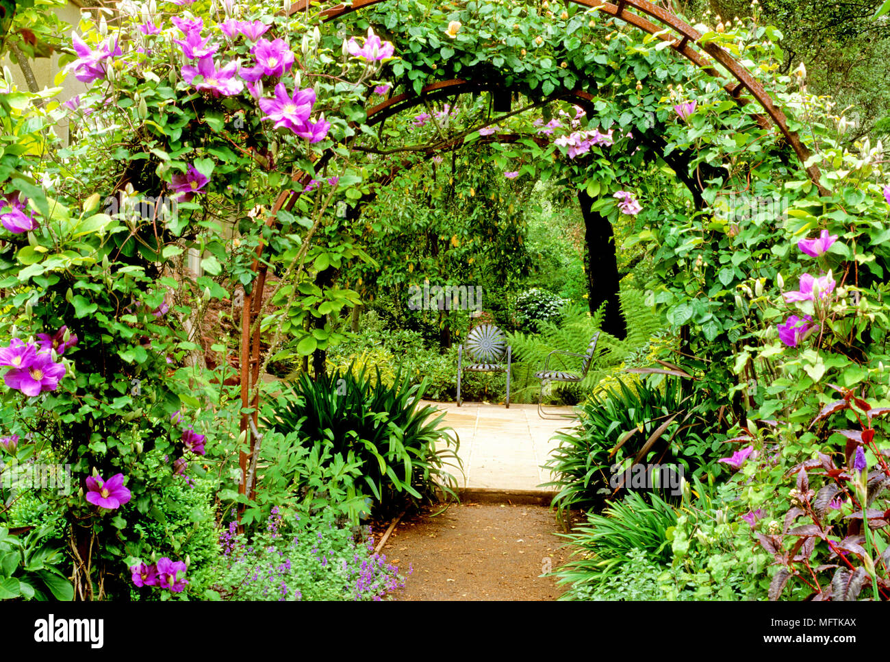 Arched pergola hi-res stock photography and images - Alamy