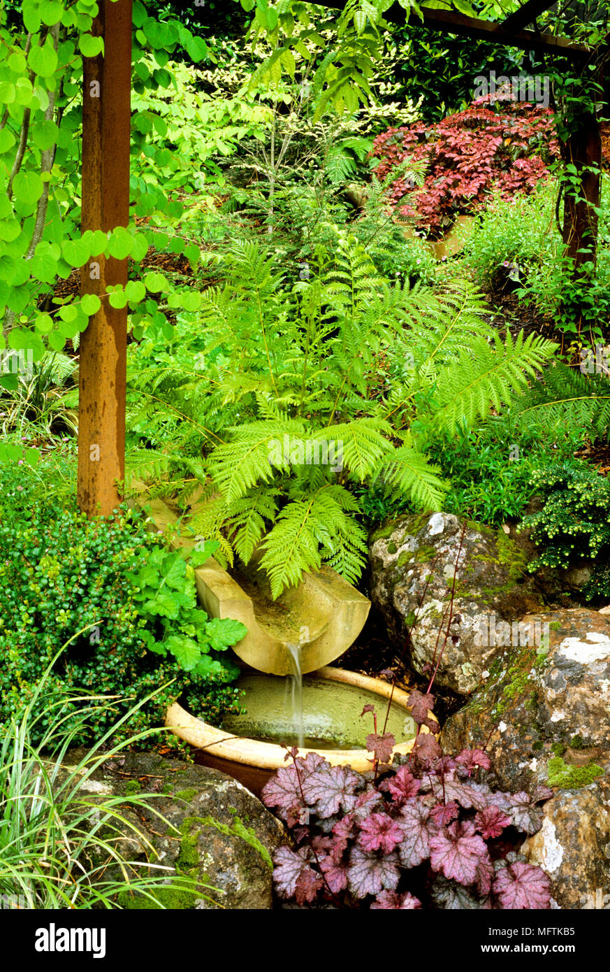 Plants To Plant Around Water Feature at Wilma Arrington blog