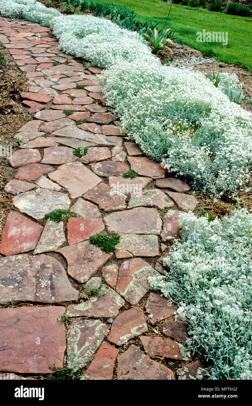 Crazy paving path hi-res stock photography and images - Alamy